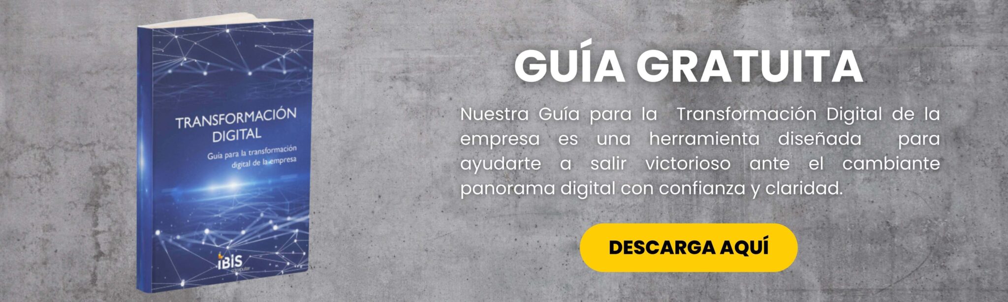 Elementos claves para la transformación digital - Ibis Computer