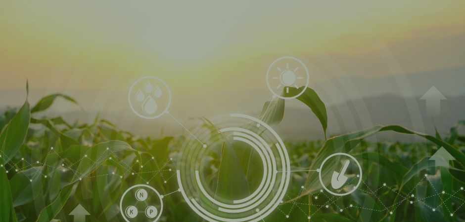 Agropecuario - Ibis Computer