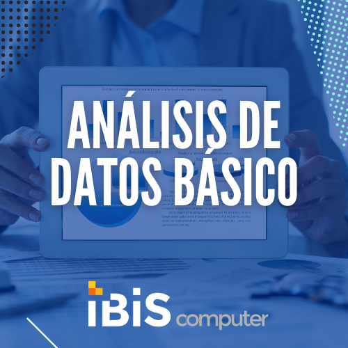 Asesoramiento de Análisis de datos básico - Ibis Computer