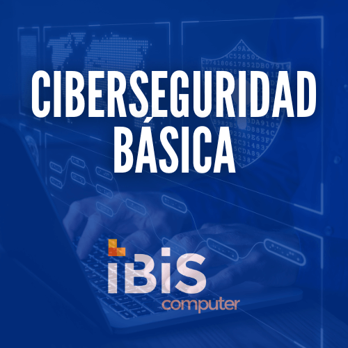 Asesoramiento de ciberseguridad básico - Ibis Computer