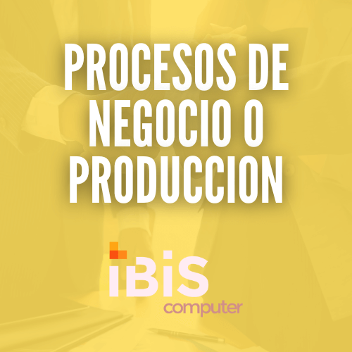 Asesoramiento de procesos de negocio o producción - Ibis Computer